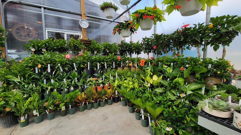 Knapp Hills Gardens - Knapp, WI